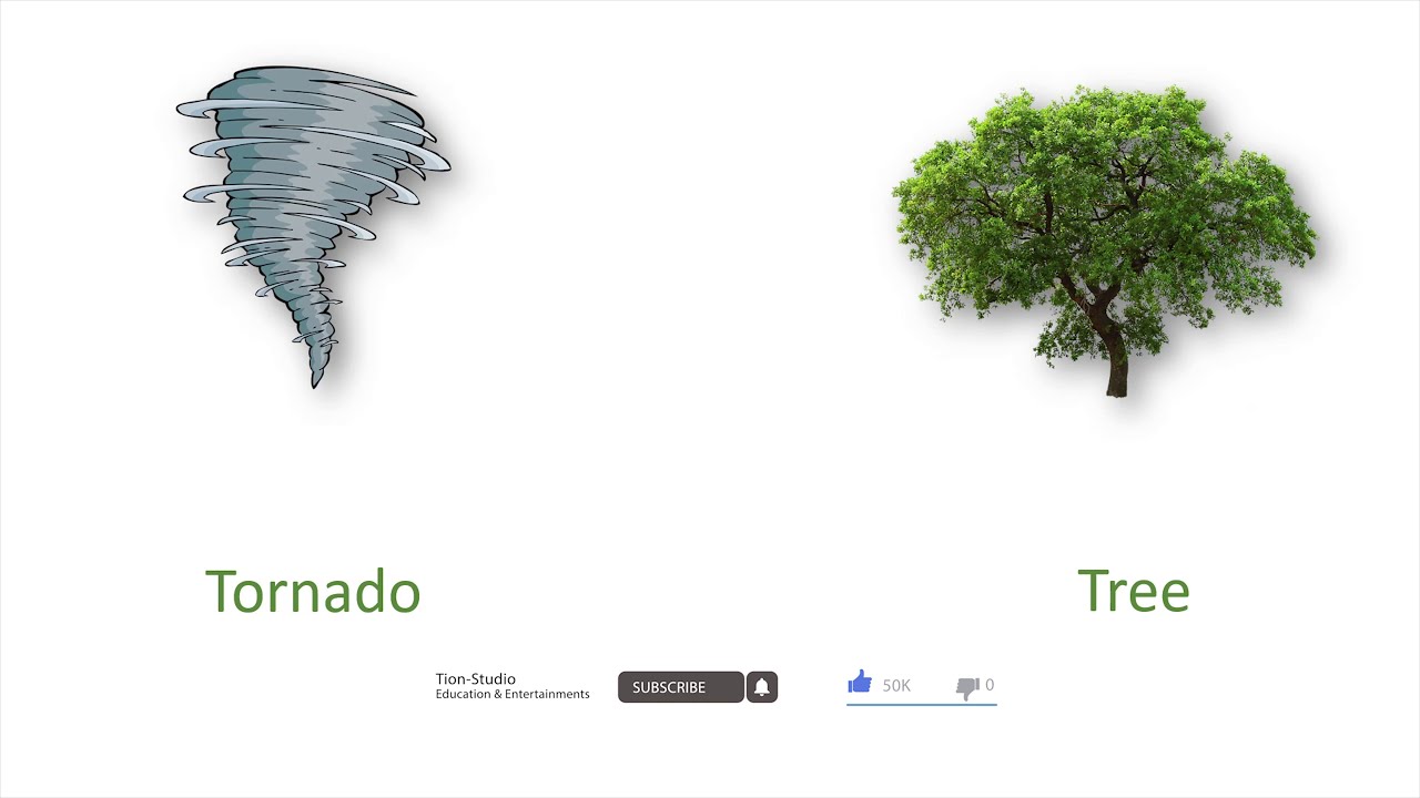 English vocabulary animated Part 6. Learn Our World with whiteboard ...