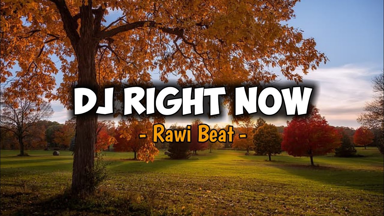 DJ RIGHT NOW REMIX 2022 !!! - [ RAWI BEAT ] - YouTube