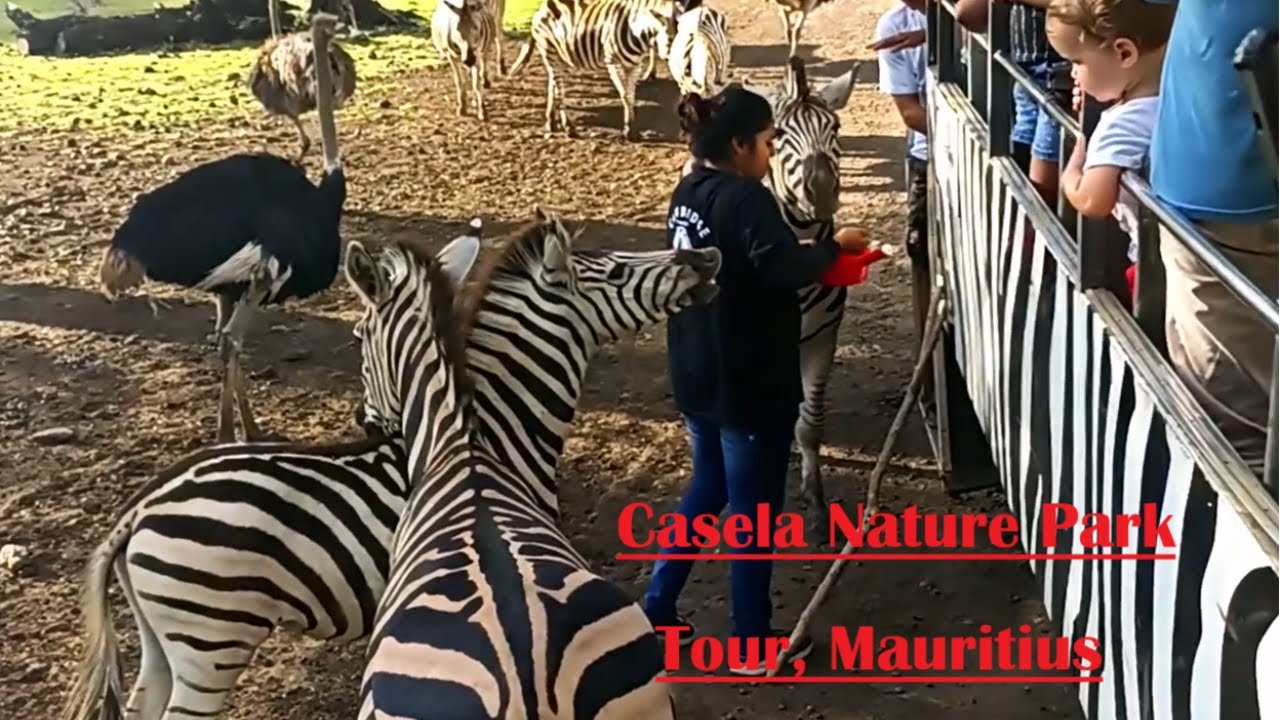 Mauritius- Casela- Nature Park- A lovely place hidden in greenery with ...