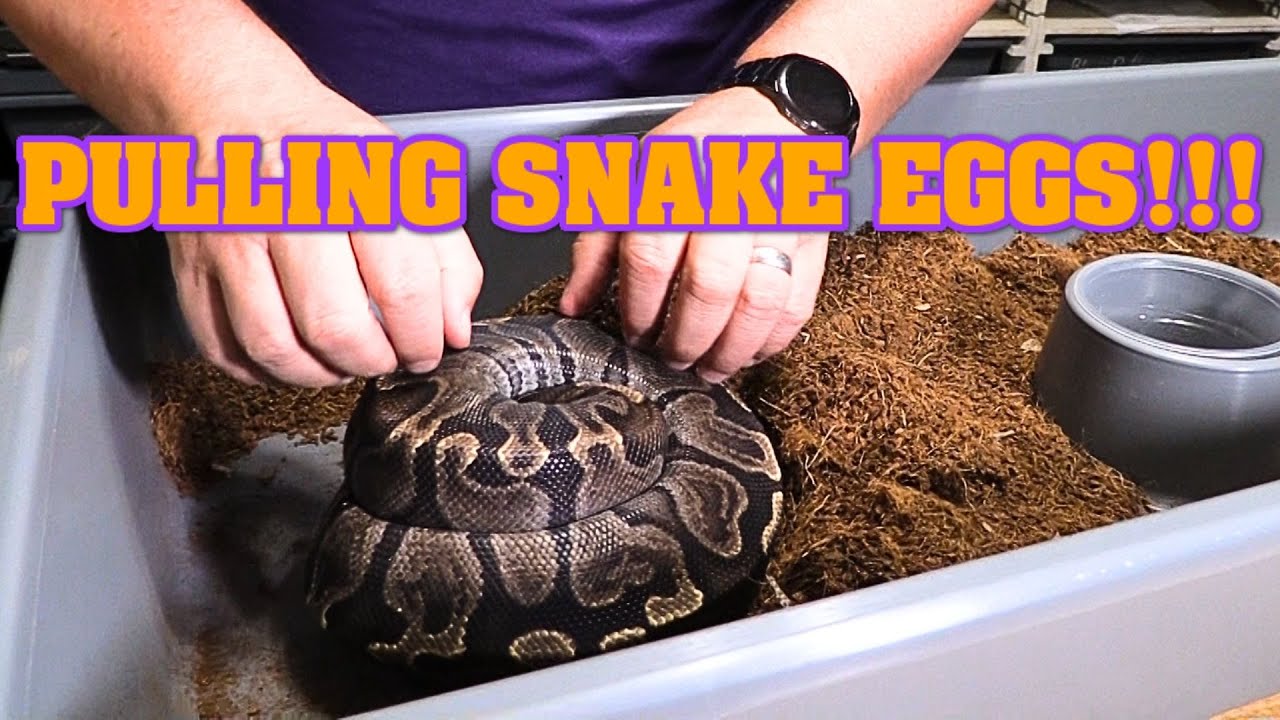 It is the beginning of our ABYSS project. This is the safe way to make ...