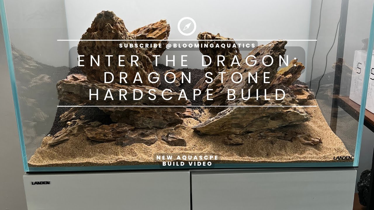 Enter the Dragon: Creating a Hardscape with Dragon Stone - YouTube
