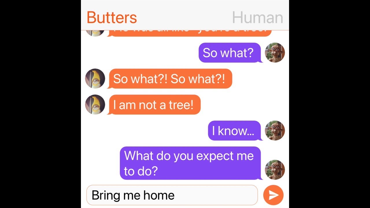 I Am Not A Tree | Texts From My Cat - YouTube