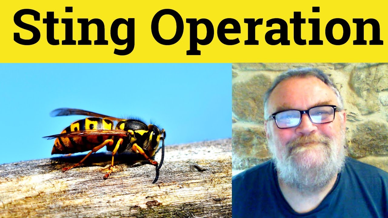 😎 Sting Operation Meaning - Sting Definition - Sting Operation Defined - Sting Examples - Sting ...