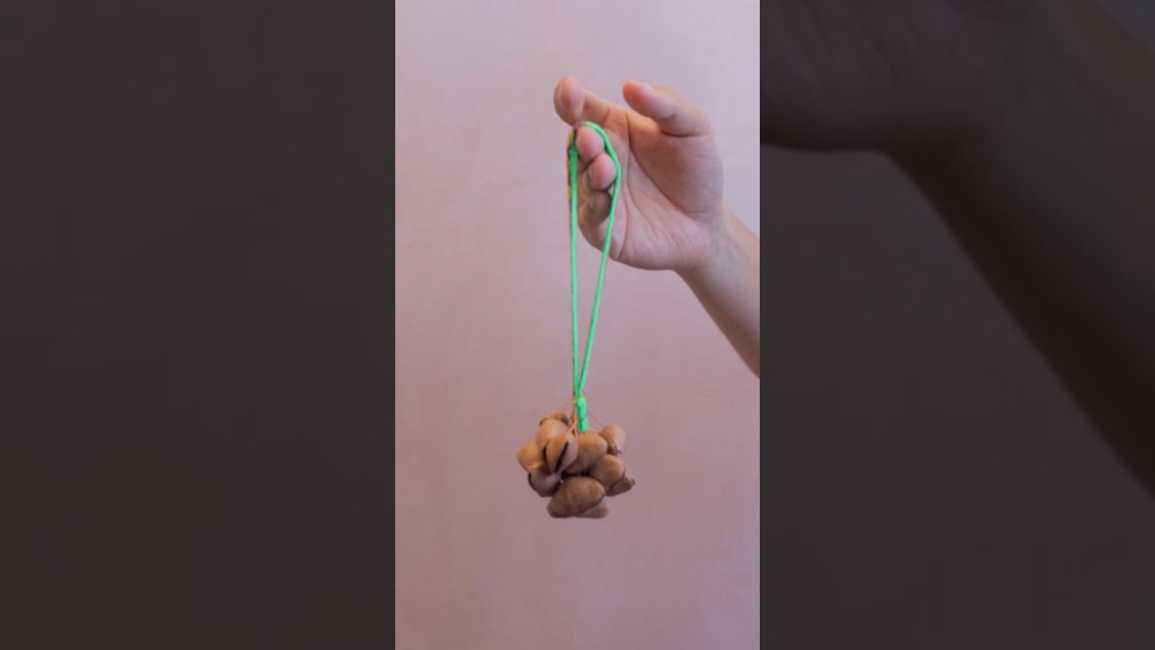 Cha Cha Seed Shaker (Sound Demo) - YouTube