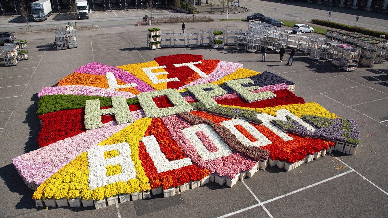 Let Hope Bloom - YouTube