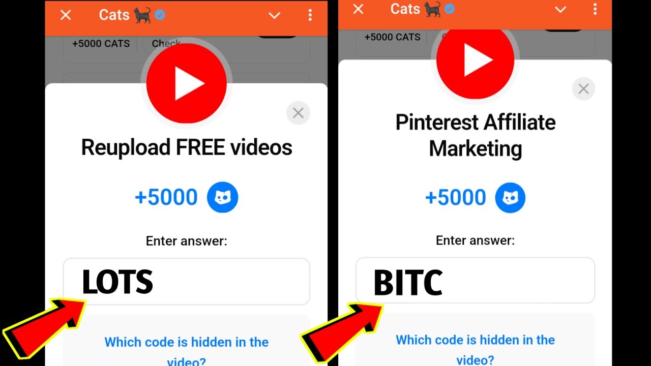 Reupload FREE videos Cats Code | Pinterest Affiliate Marketing Cats video code today - YouTube