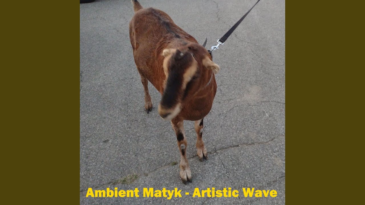 Calm Before Nightfall - YouTube