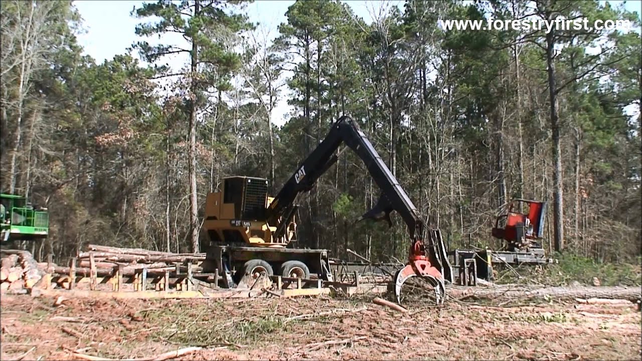 2014 CAT 559C Knuckleboom Loader with 1500 Hours at Forestry First ...