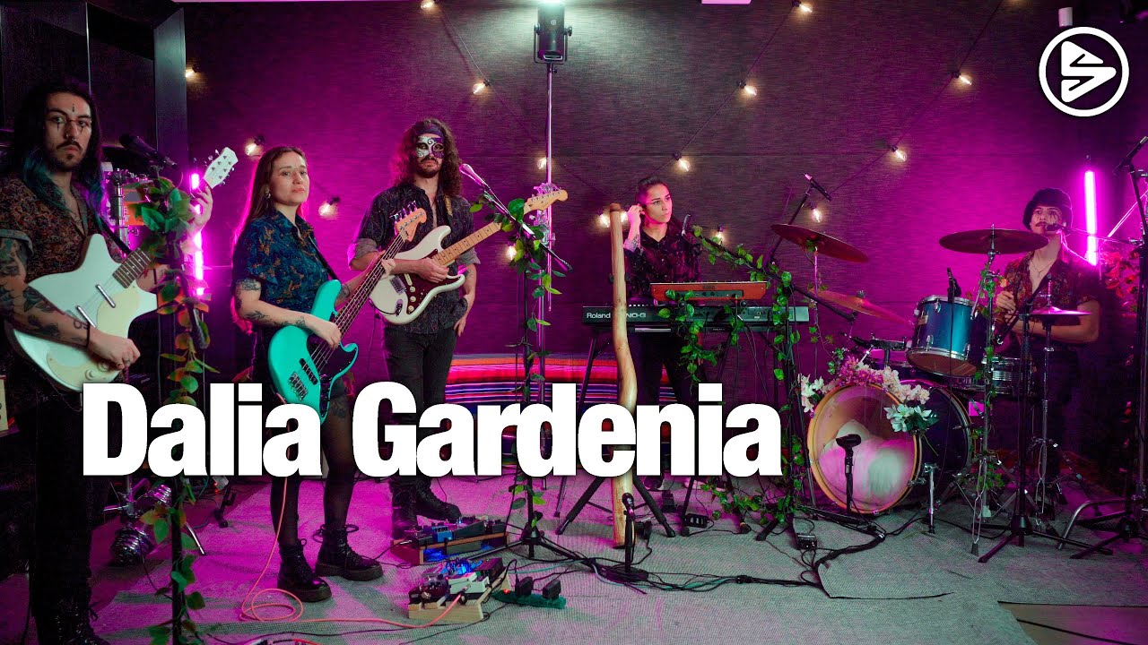 Dalia Gardenia - Full Performance | Sivana Instrumental & Beats - YouTube