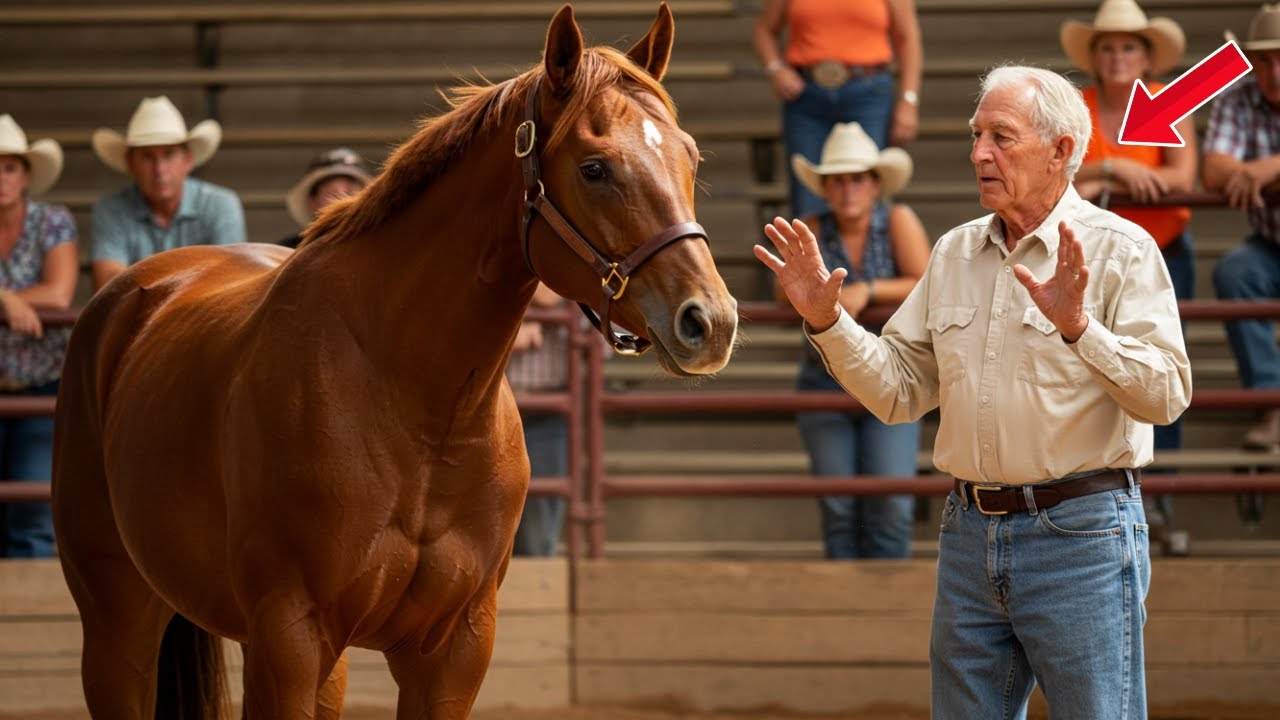 Deaf Horse Trainer Is Mocked at Auction… But What He Does with the Wild ...