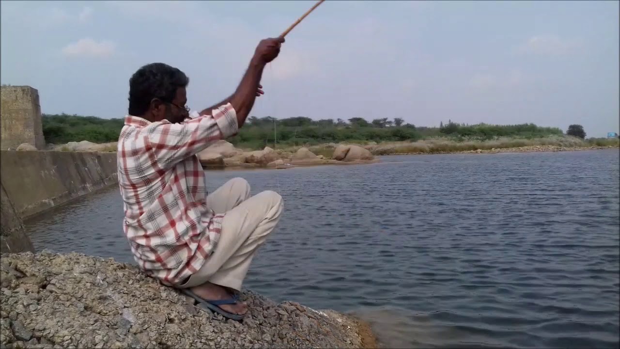 FISHING WITH WAJID BHAI, SANGAREDDY, MANJIRA GATES - YouTube