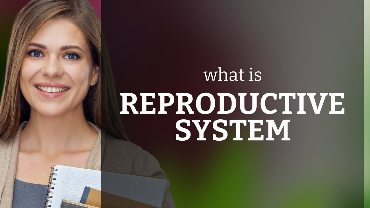 Reproductive system | REPRODUCTIVE SYSTEM definition - YouTube
