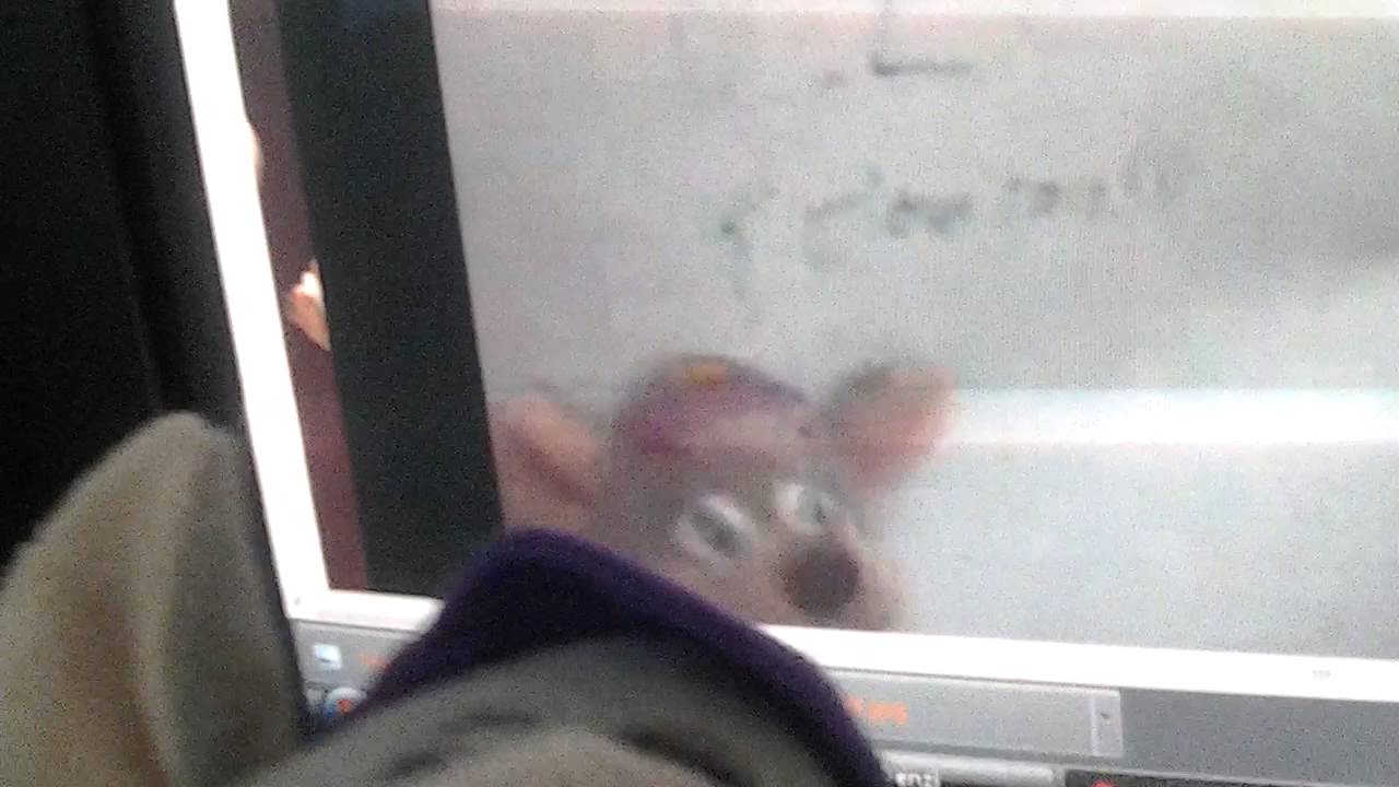 CEC TV 1994 Intro And CEC Sniffing Chuck Ident - YouTube