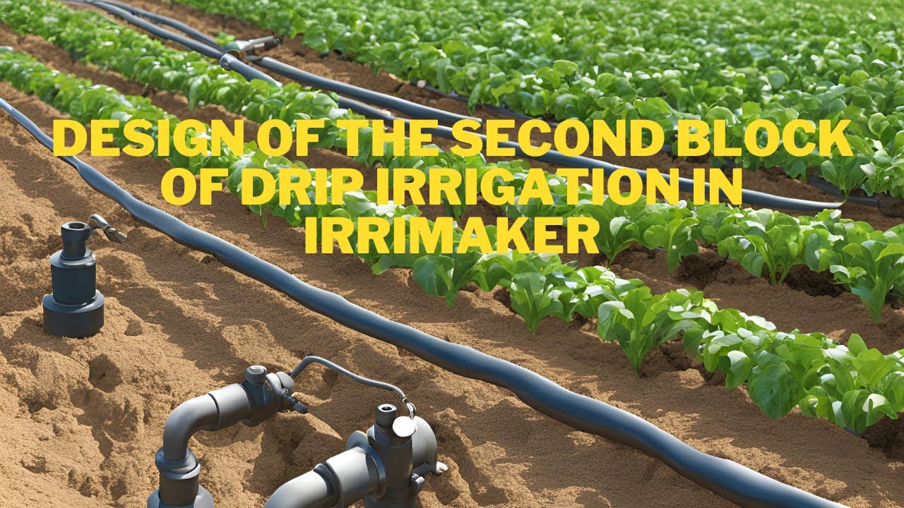 Design of the second Block of Drip Irrigation in IrriMaker 12 of 13 ...