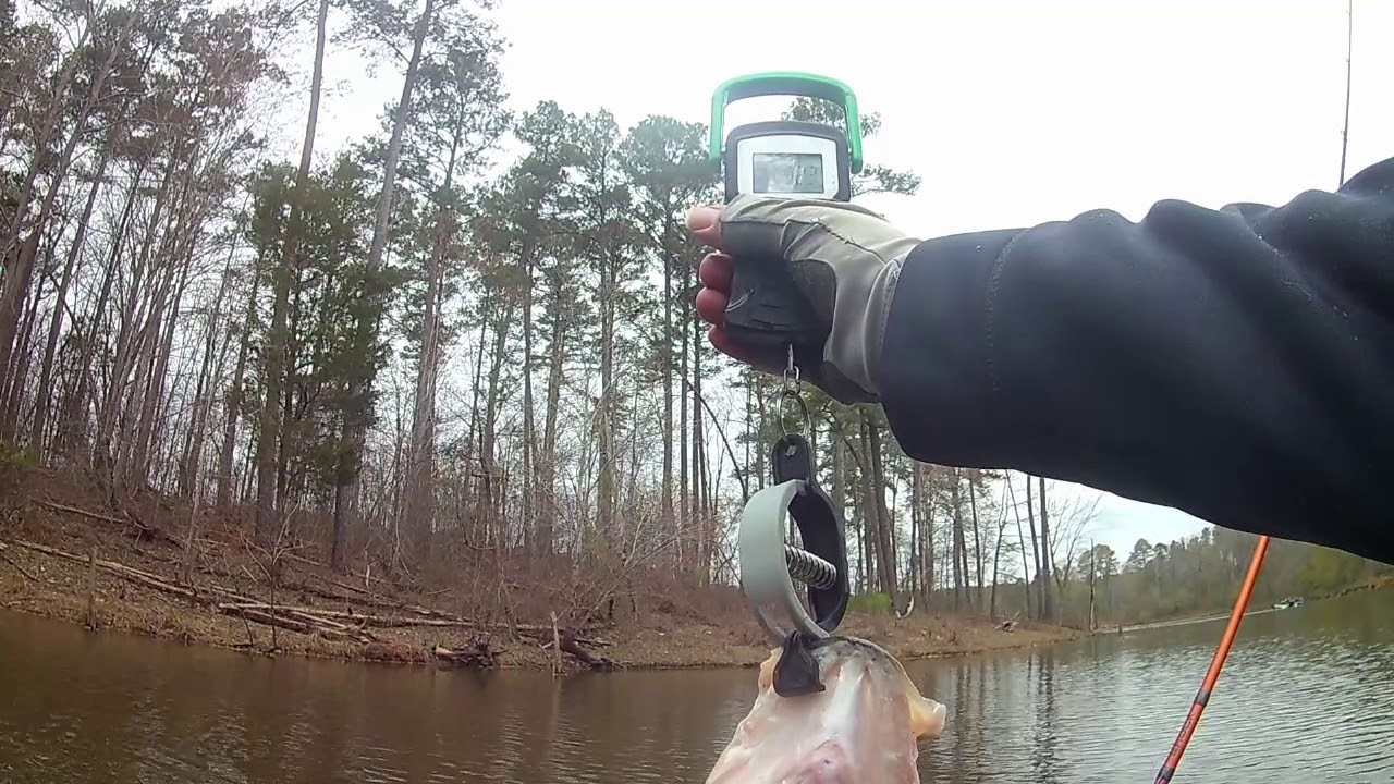 The one where Jason caught a Monster - YouTube