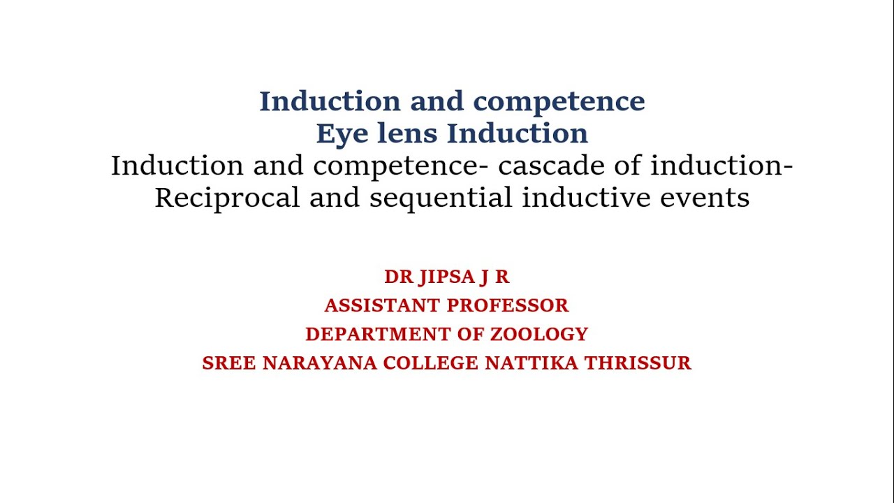INDUCTION -EYE LENS FORMATION - YouTube