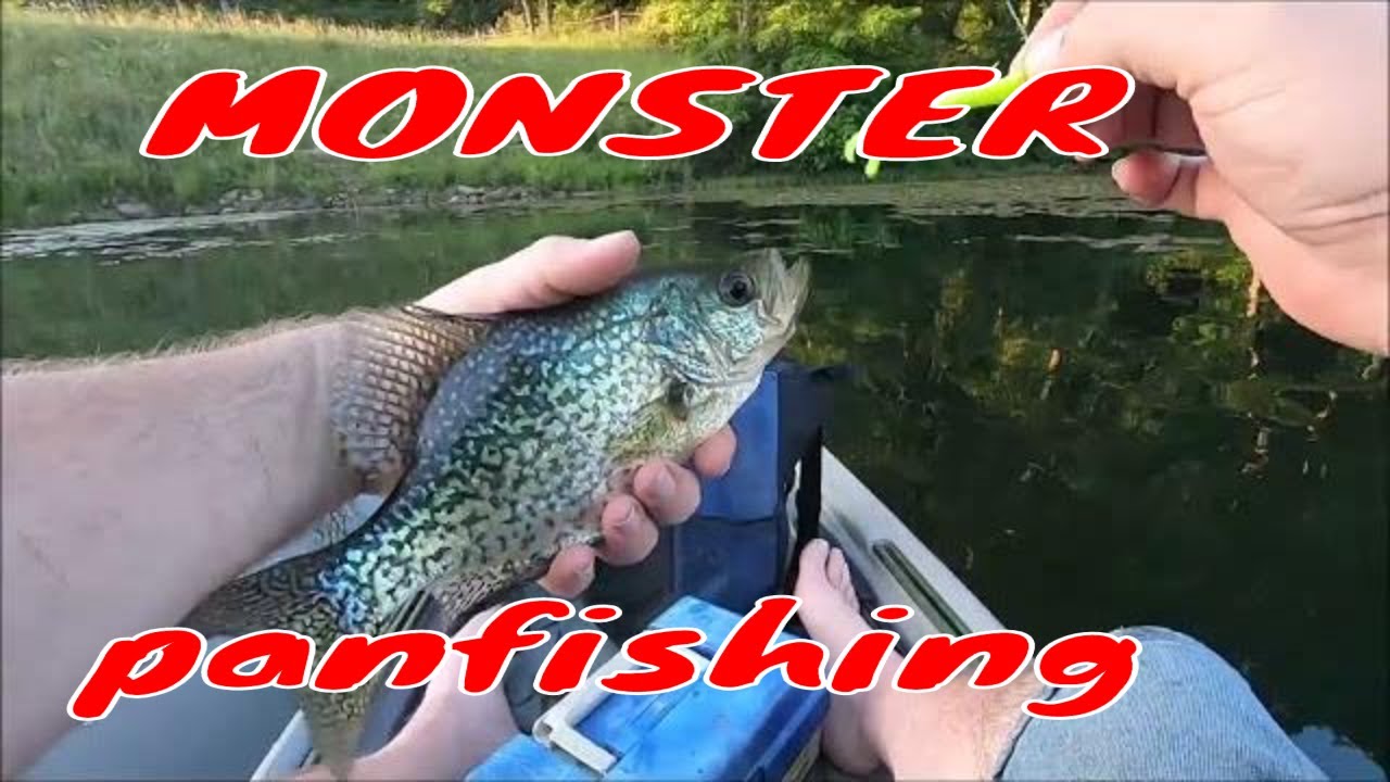 How to catch monster crappie and bluegills on lures i catch my pb ...