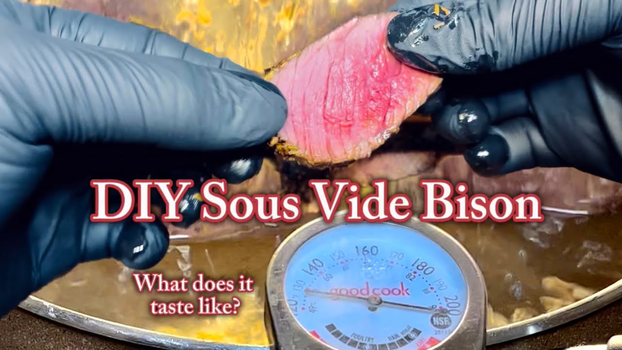 DIY Bison Steaks for the First Time! - YouTube