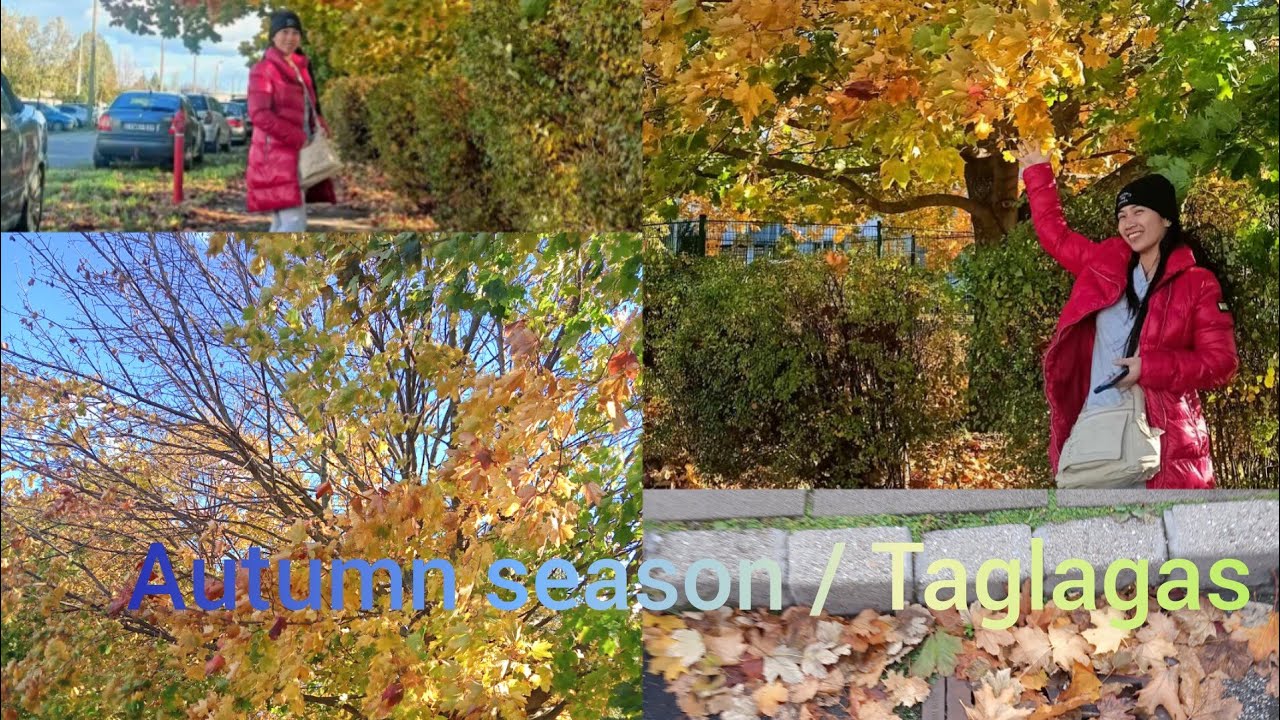 Autumn season/Taglagas - YouTube