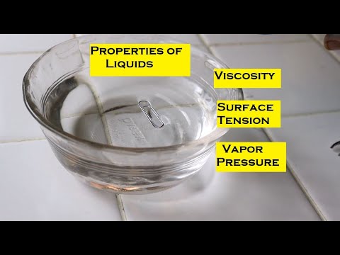 Physical Properties of a Liquid: 4 Defining Characteristics (Science Guide)