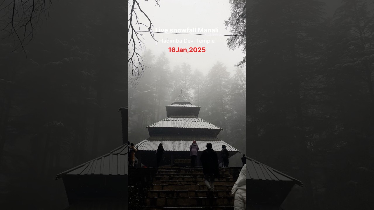 Snowfall in Manali today😍View of Hadimba Temple ️ #snowfallinmanali # ...