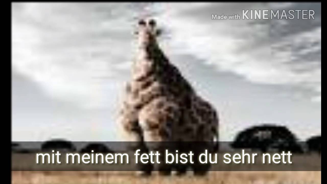 Giraffe rap epic sehrgay - YouTube