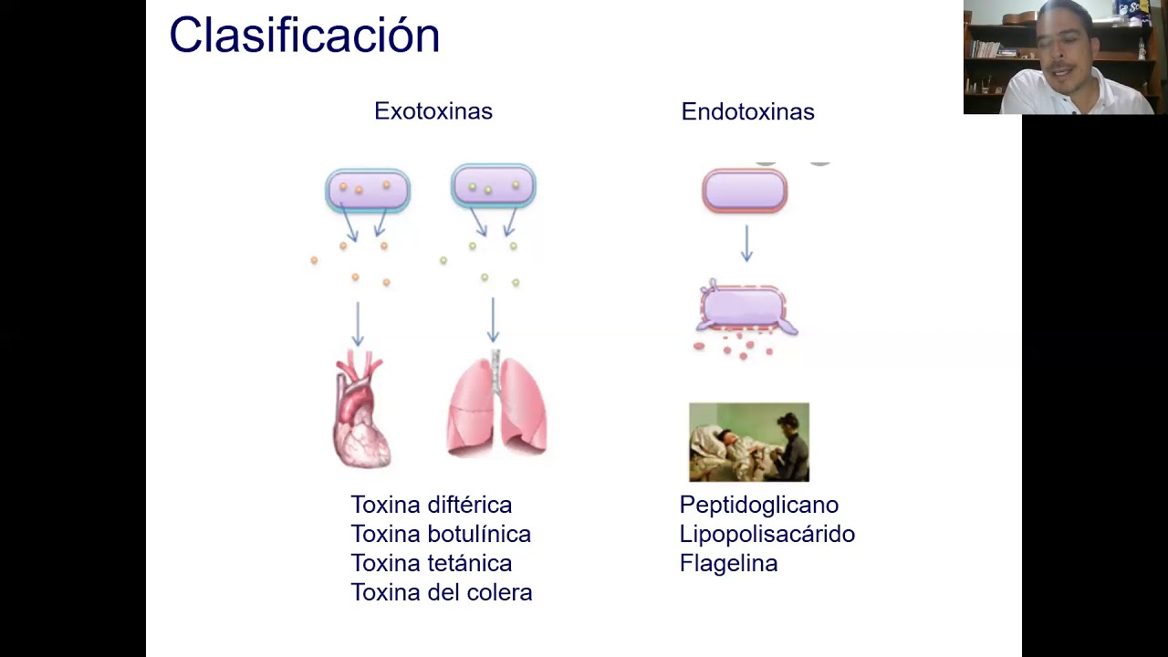 Clase toxinas bacterianas Esteban Chaves - YouTube