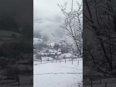 Lerik #rezavul#taliş#cenub#lik#rəzavul