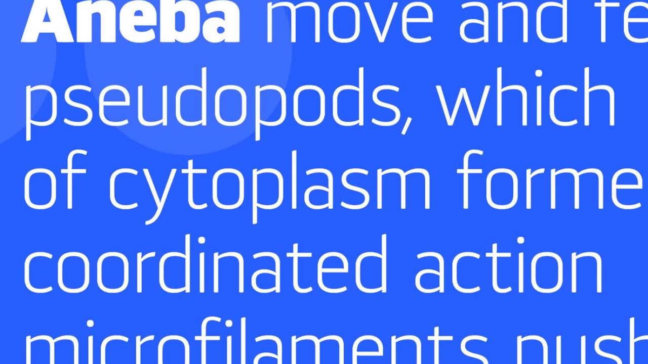 Aneba Neue Font Download - YouTube