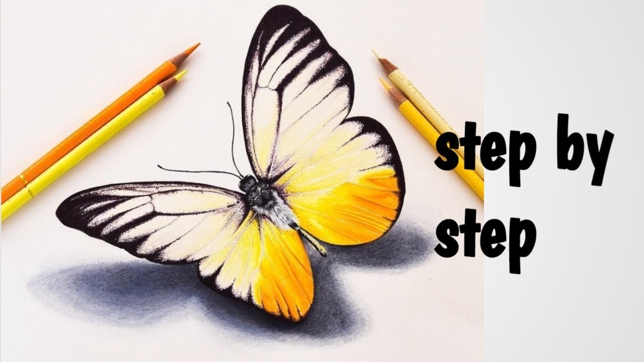 Easy Butterfly Pencil Drawing / Step by Step Tutorial for Beginners 🖍️🖍 ...