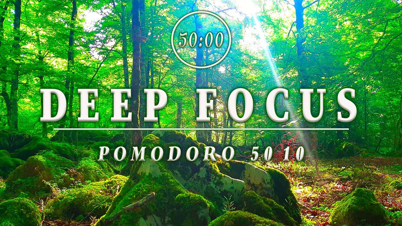 3h Study with the Positive Energy of FOREST SOUNDS🌳📖POMODORO TECHNIQUE ...