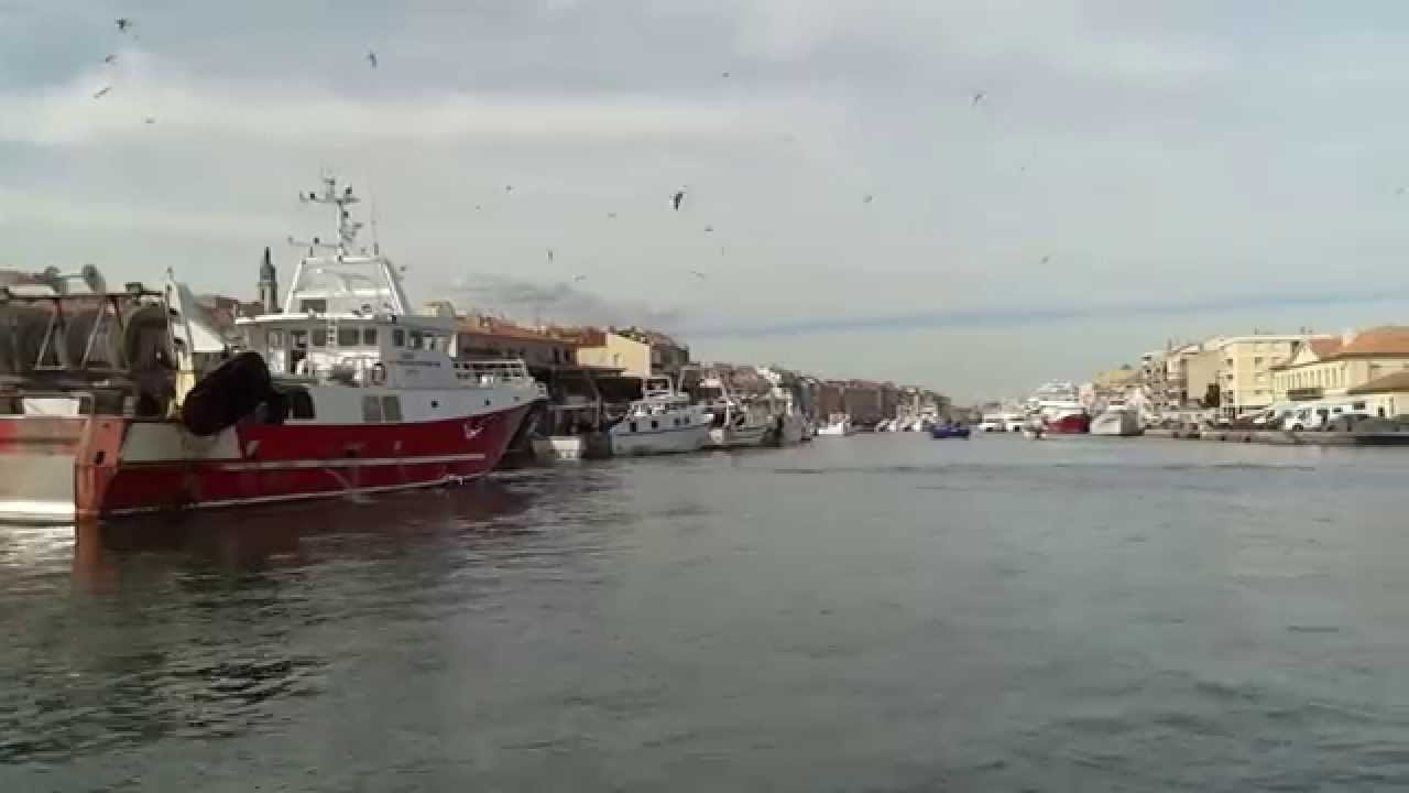 Sète : Le port de pêche - YouTube