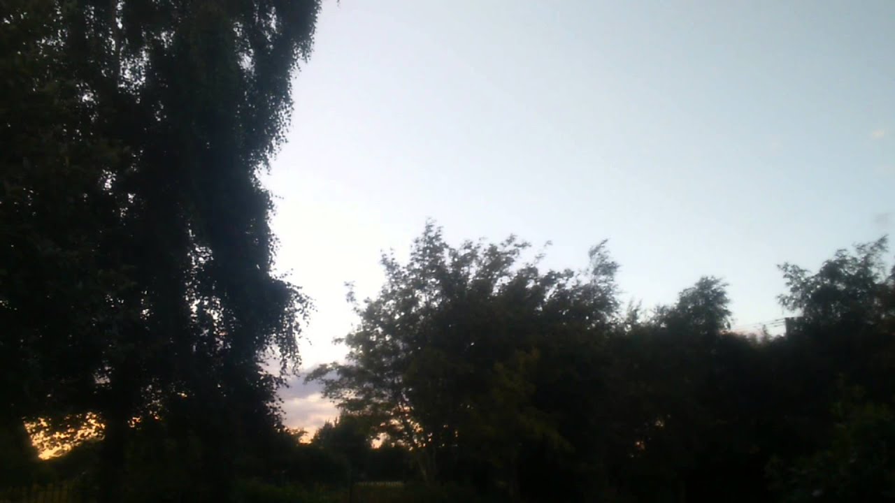 Breeze through trees free footage creative commons - YouTube