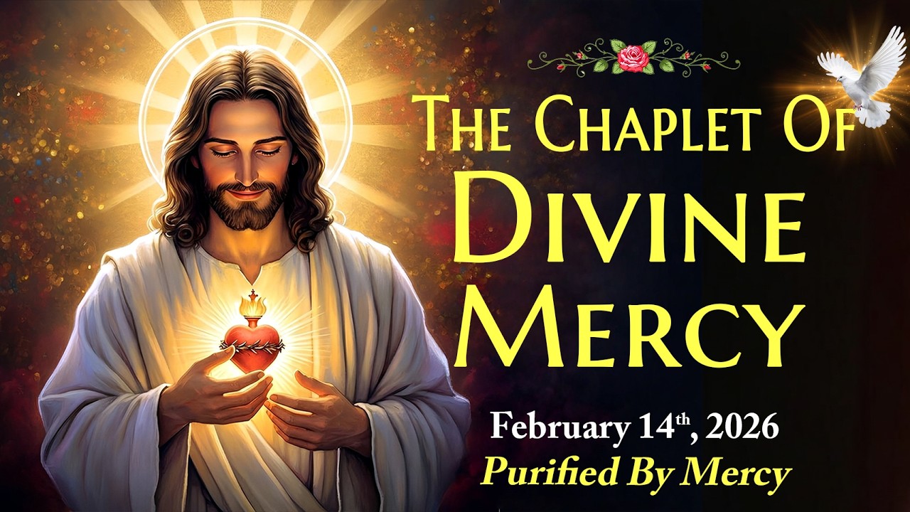 Daily Divine Mercy Chaplet | Saturday, February 14, 2026 🙏 PURIFIED BY ...