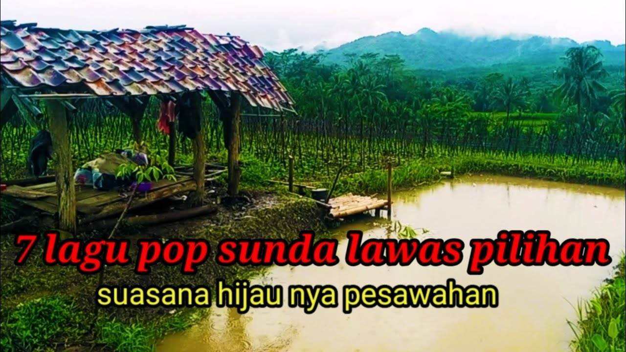 7 tembang pop sunda lawas pilihan terbaik suasana pesawahan yg hijau ...