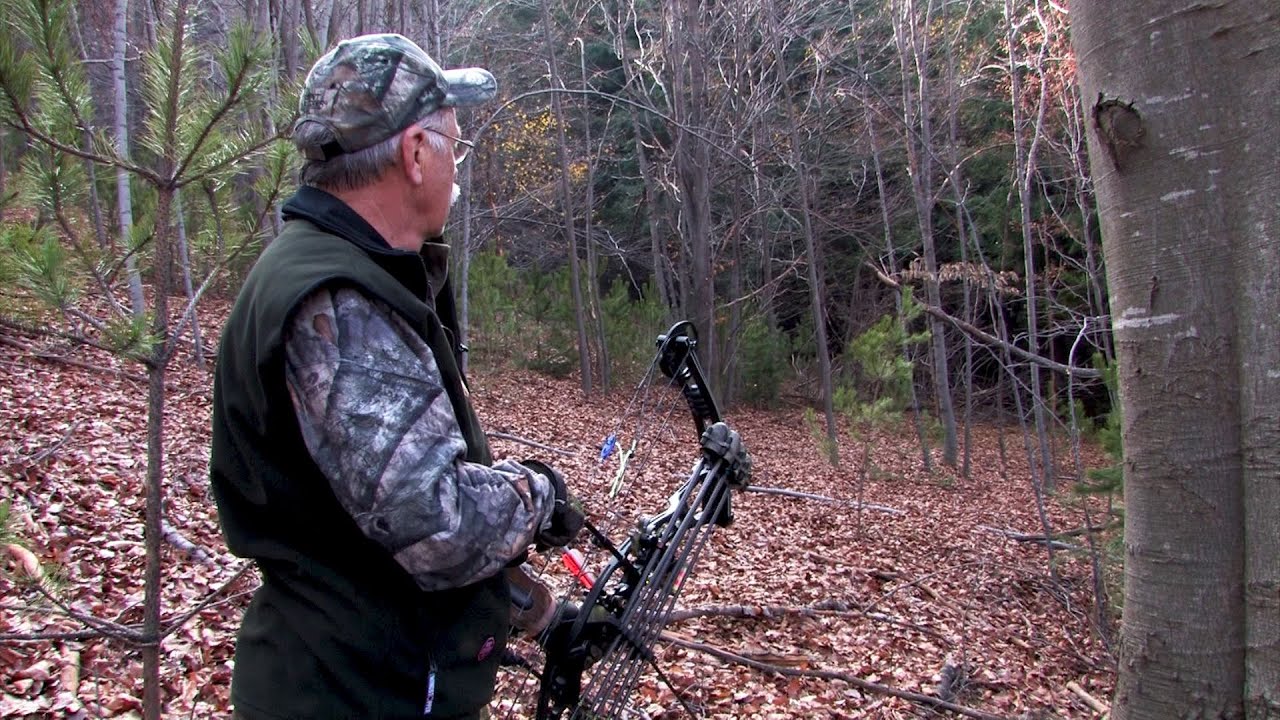 Emoción en la Naturaleza: La Última Jornada con Gary Bogner, Cazador ...