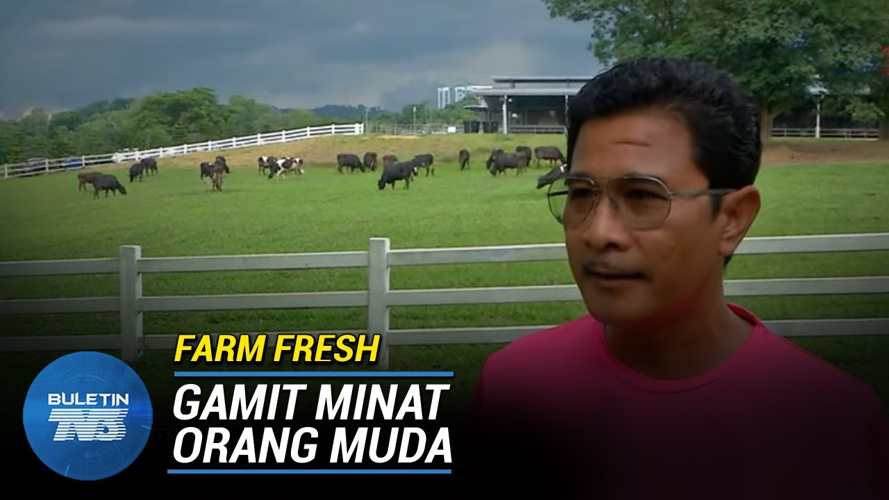 FARM FRESH | Agro Tourism Centre Fokus Kepada Generasi Muda - YouTube