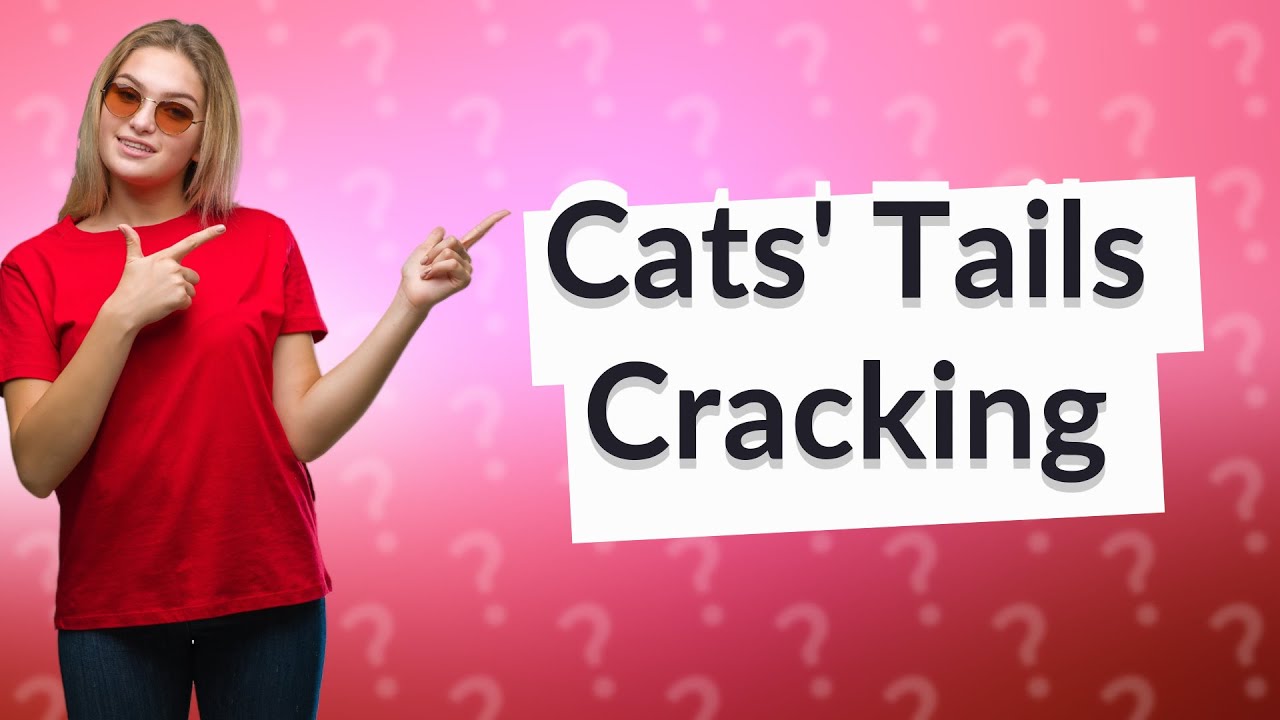 Can cats tails crack? - YouTube