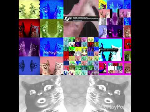 99 Preview 2 Numa Cats