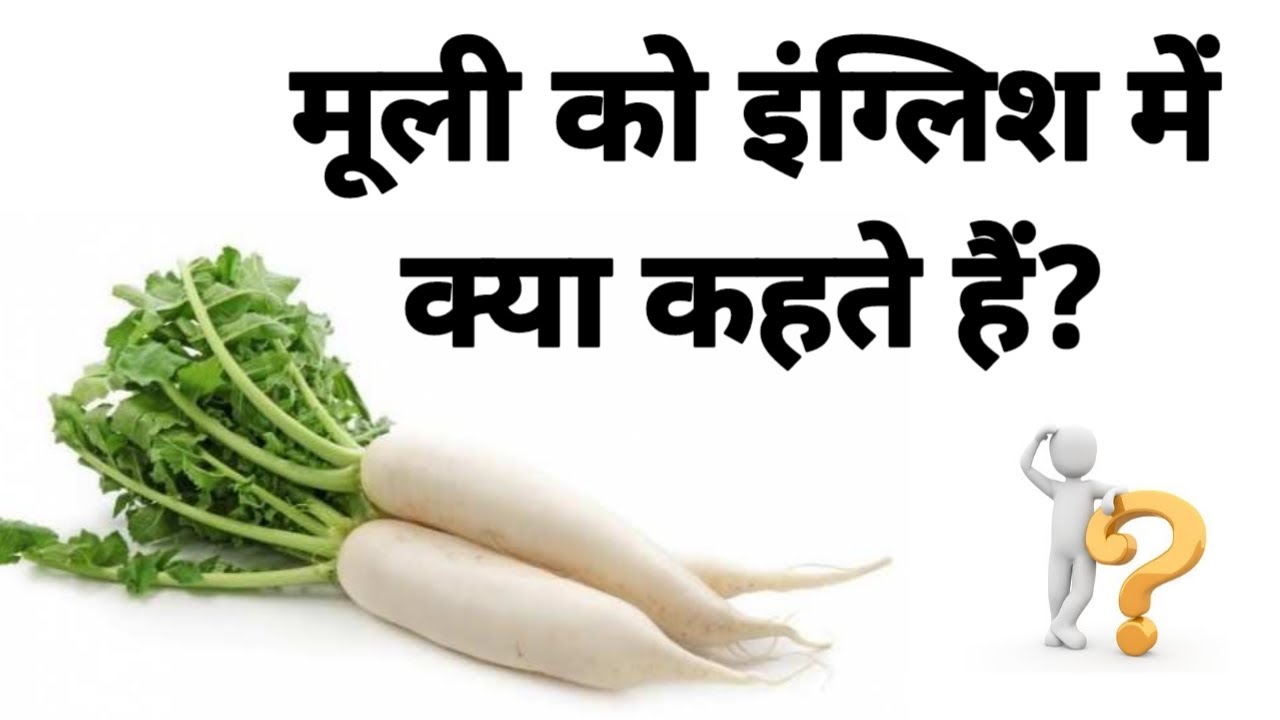 'मूली' को इंग्लिश में क्या कहते हैं? || What is 'mooli' called in ...