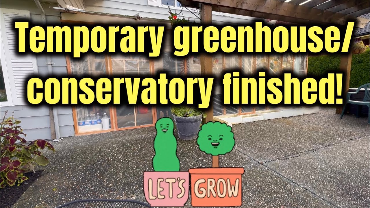 Temporary greenhouse/conservatory finished! - YouTube