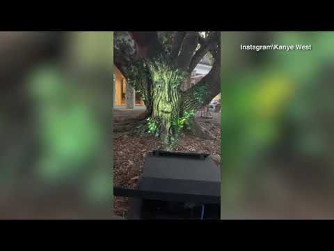 Kanye West has fun while 'talking to a tree' at Fairchild Gardenc - YouTube