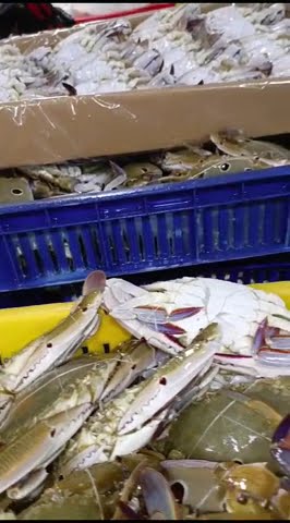 Three Spot Crab Processing To Pack - YouTube