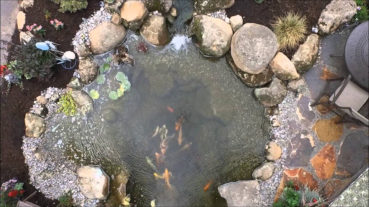 Large Scale Pond Project - YouTube