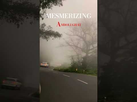 Amboli Ghat in Peak Monsoon 💚 #Shorts