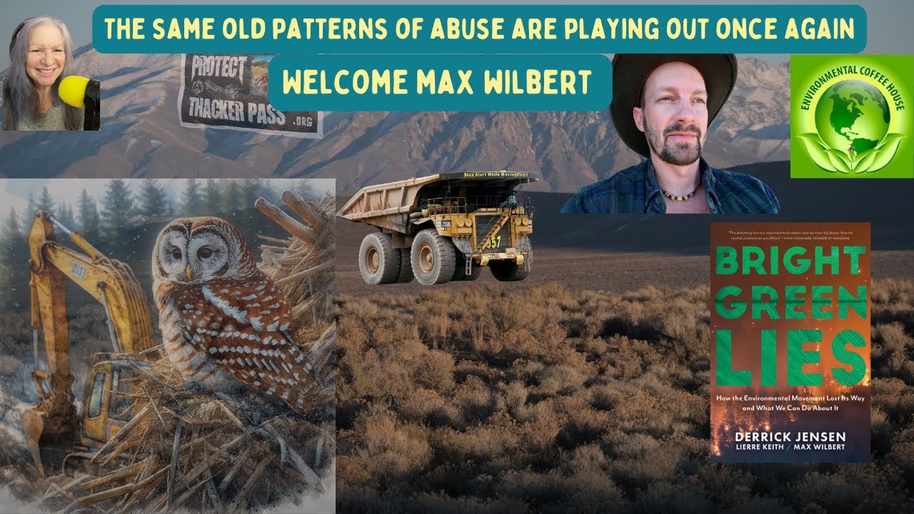 The same old patterns of abuse are playing out once again - YouTube