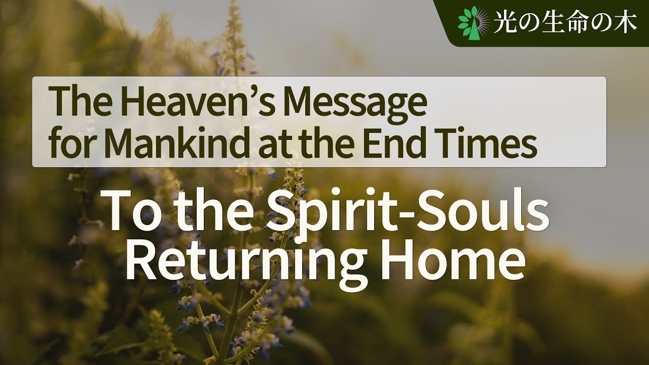 The Heaven’s Message for Humanity in the End Times – to the Spirit ...
