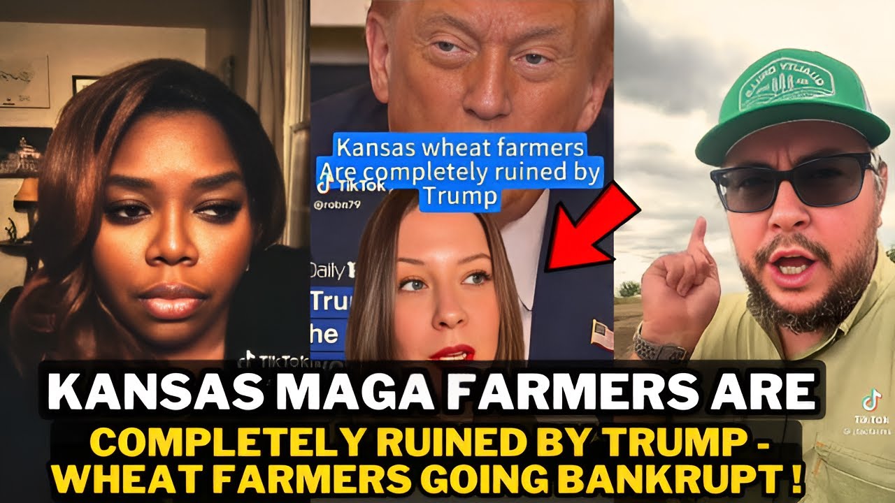 MAGA Kansas Wheat farmer 'REGRETS' voting in Trump - farms going ...