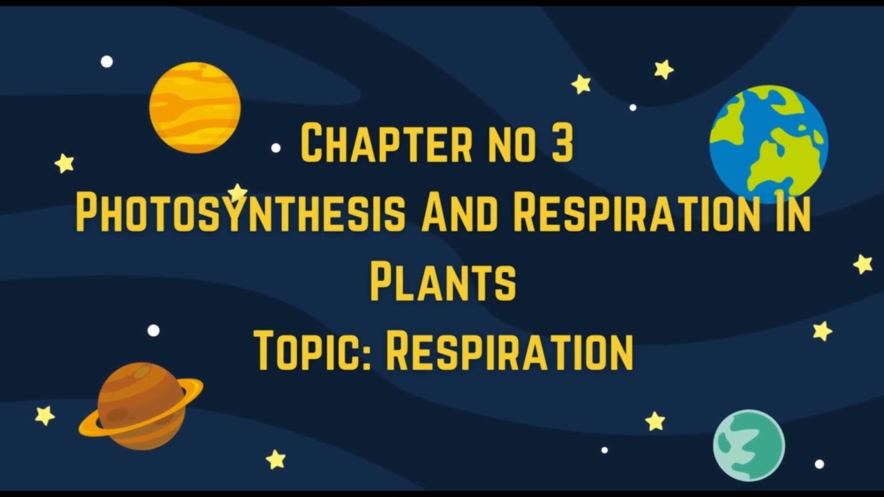 Class VI || Chapter 3 || Topic || Respiration - YouTube