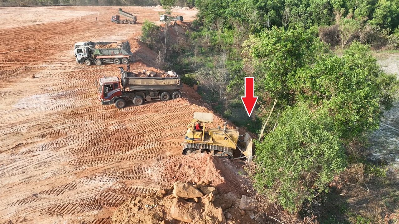 Nice Equipment Machinery Dozer Move Big Rock Stone Clear Forestry,Dump ...